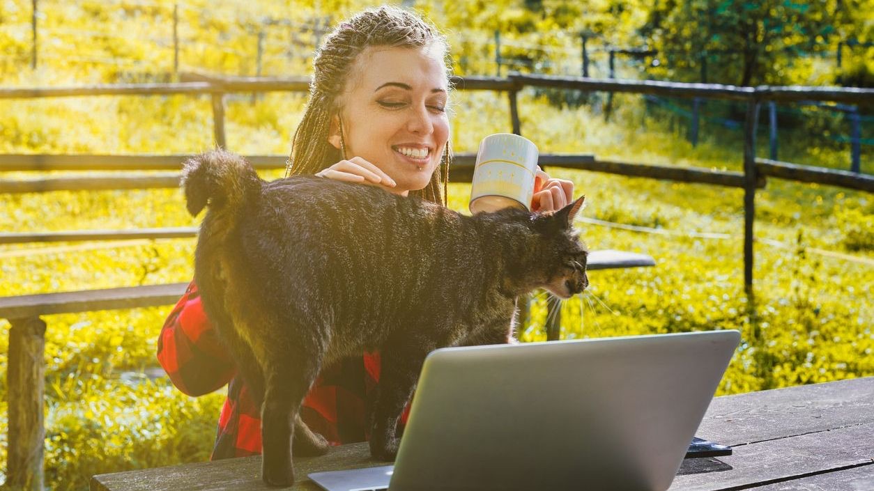 Sustainable Work Boundaries: Boost Wellbeing With Shyft’s Core Features ...